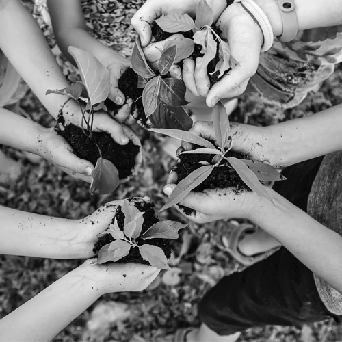 About Us | RPSG Group